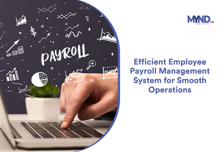 Efficient Employee Payroll Management System for Smooth Operations | by ...