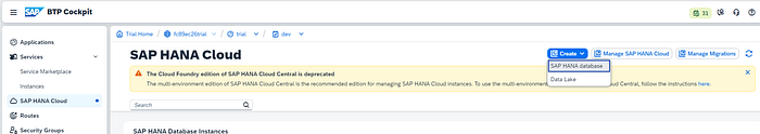 How to Create a SAP HANA Database Instance in SAP BTP | by İlker Tekin ...