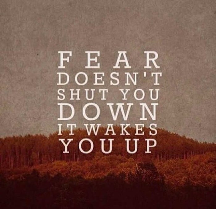 Negative Fear, Positive Fear. “Fear of writing, understandable, but a ...