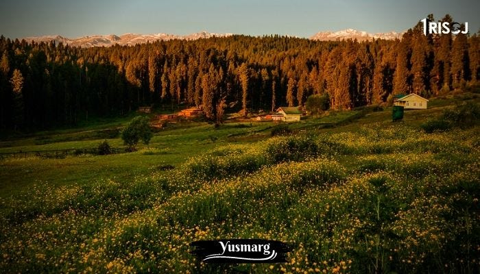 5 Captivating Places To Visit in Yusmarg That Will Lead You Directly To ...
