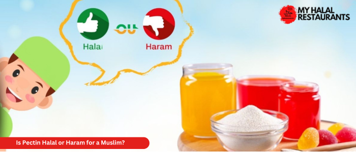 Is Pectin Halal or Haram for a Muslim? | by My Halal Restaurants | Medium