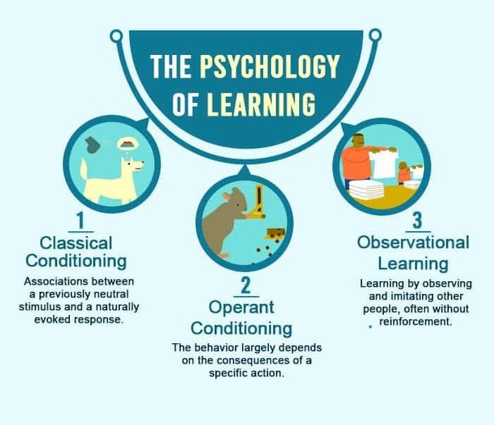 Psychology of Learning. Understanding how we learn is… | by Saad ...