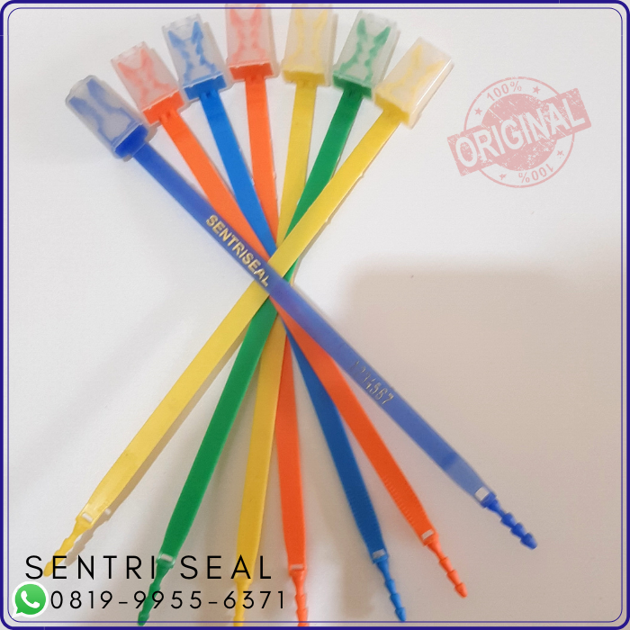Sentri Seals - terus joyo - Medium