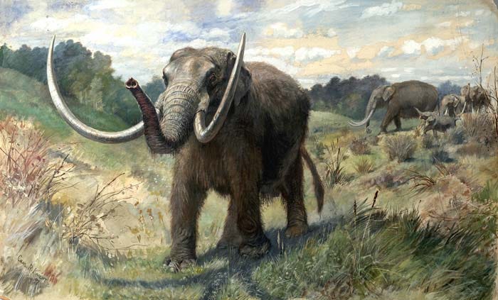 From Trunked Titans to Extinction: The Enigmatic Mastodons and Their ...