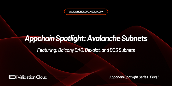 Appchain Spotlight: Avalanche Subnets | by Validation Cloud | Validation Cloud | Medium
