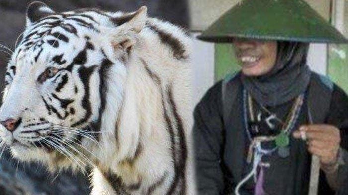 Apa!!! Seorang Pria Tua Ingin keliling Dunia Dengan Menaiki Seekor ...