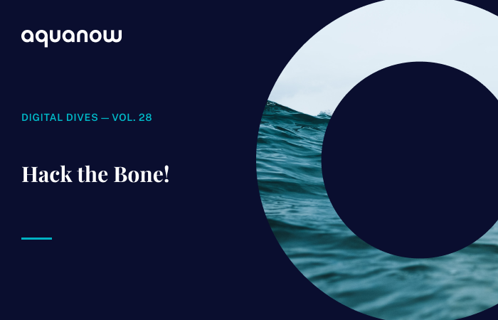 Aquanow Digital Dives: Hack the Bone! — Vol. 28 | by Aquanow ...