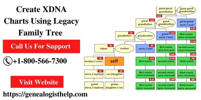 Create XDNA Charts Using Legacy Family Tree | Medium