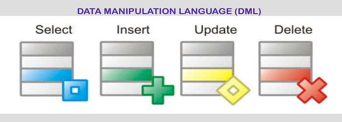 Basic SQL: Data Manipulation Example using Dbeaver | by Fadilla Fortuna | Medium