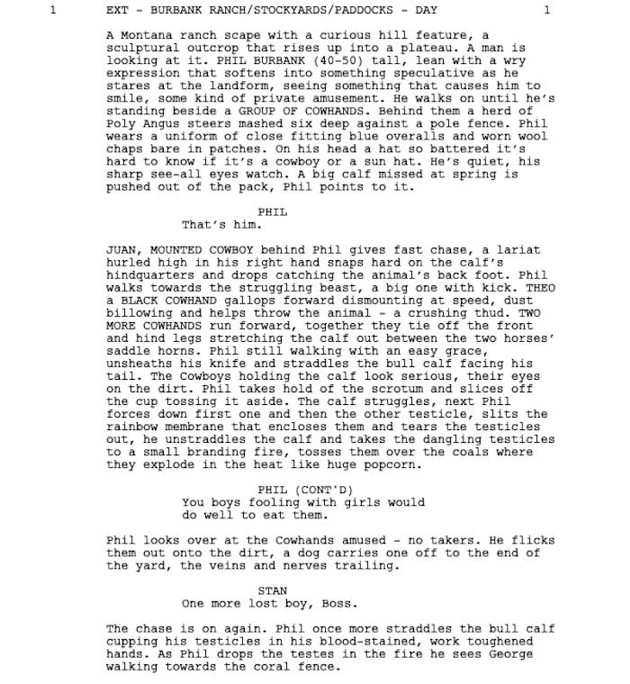 Page One: “The Power of the Dog” (2021) - Go Into The Story