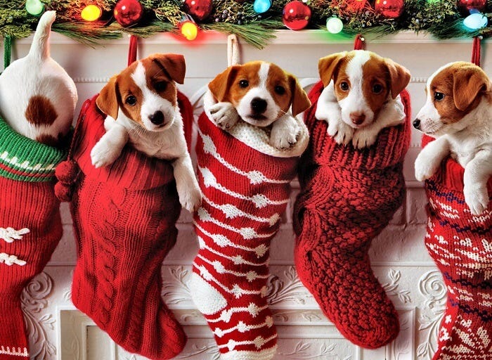60 Best Christmas Dog Puns Captions Will Make You Giggle | by GiftOMG ...