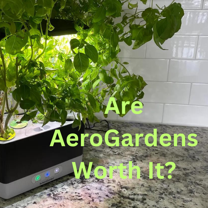 Unlock the Truth Behind Indoor Gardening Tech — Aerogarden | by HOC ...