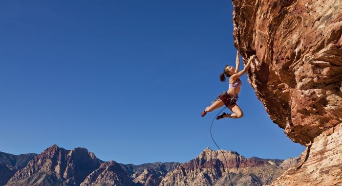 Commitment Plus Effort Equals Success | by Krista Rausin | Medium