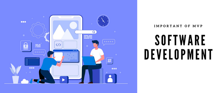 What is MVP in Software Development and Why Do You Need it? | by XDuce ...