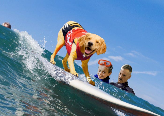 Oops: I Didn’t Do a Good Job On This Poster for “Air Bud: Surf’s Pup ...