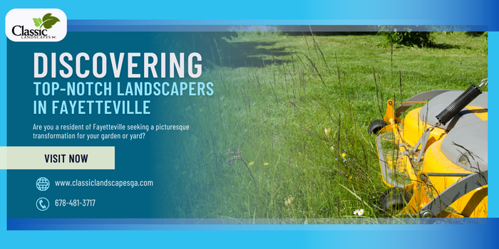 Discovering Top-Notch Landscapers in Fayetteville | by Classic ...