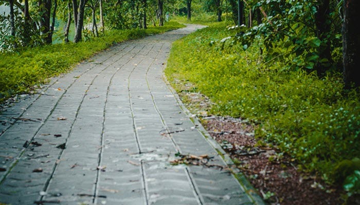 Paving the Way: Transforming Flower Mound with New Walkway Installation ...