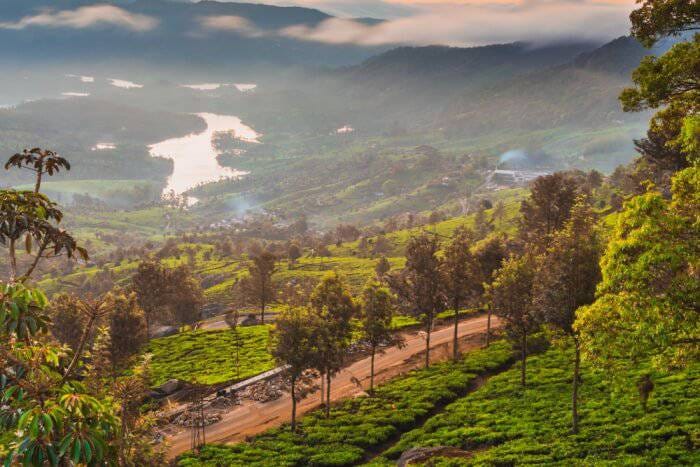 Honeymoon Places In Kerala : Munnar Hill Stations | by Dream Coconut Villa Resort | Medium