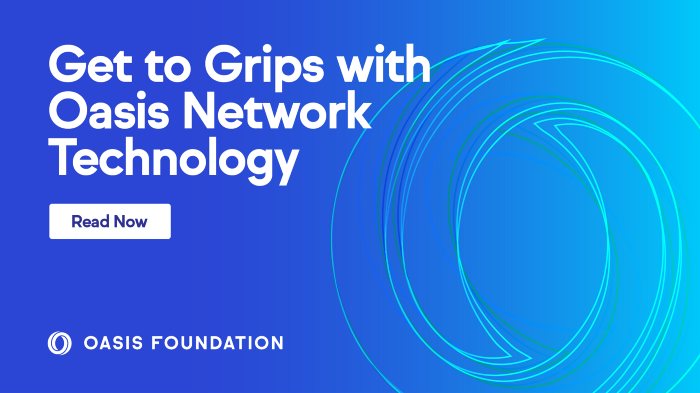 Conoce la tecnología de Oasis Network | by Isa_Bell | Oasis Network en ...
