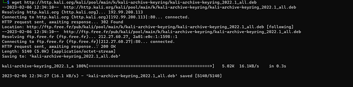 Install Kali Linux Tools in Windows WSL for Bug Hunting/Pen-testing