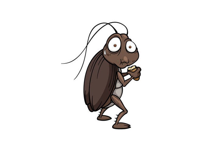 A Guide to Finding Bugs and Flaws in Web Applications | by Nasrin ...