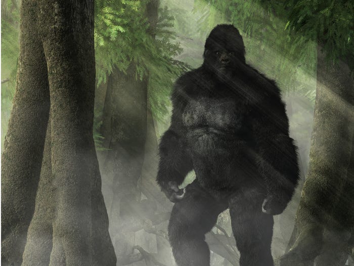 The Fouke Monster During The Early 1970s An Intriguing… By