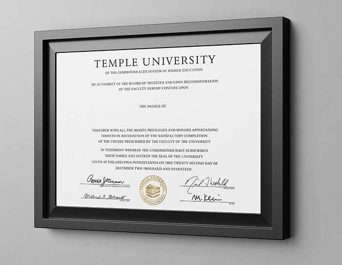 Power of a Temple University Degree | by Sterling Phoenix | Feb, 2024 | Medium