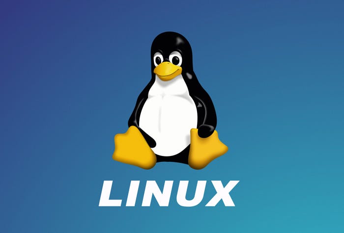 File System Basics in Linux. Understanding the core structure and… | by ...