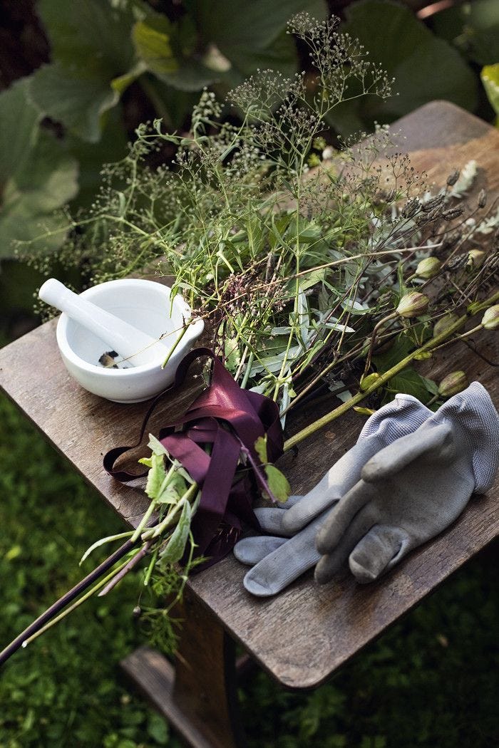 Herbs ~ Unleashing the Magick. Magickal Herbs for Spiritual Practices ...