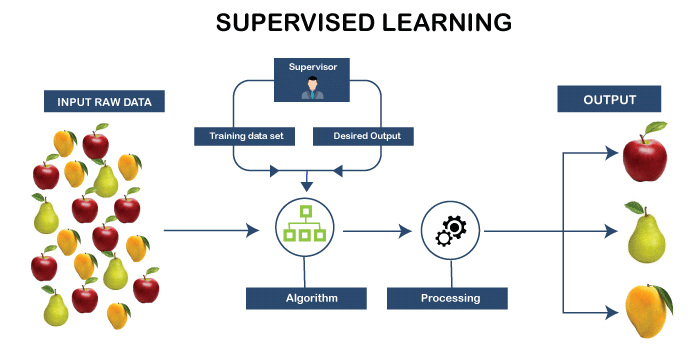 Exploring the Core of AI: Supervised vs. Unsupervised Learning ...