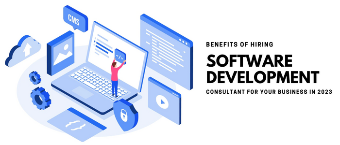 Benefits of Hiring a Software Development Consultant for Your Business ...