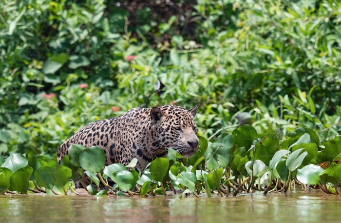 The natural world is facing a catastrophic crisis. Human activities ...