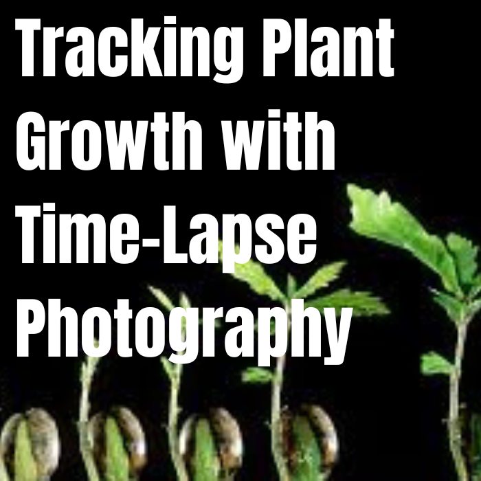 Capturing Nature’s Magic: Tracking Plant Growth with Time-Lapse ...
