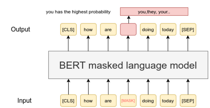 掌握BERT：从初学者到高级的自然语言处理（NLP）全面指南 - IcyFeather233 - 博客园