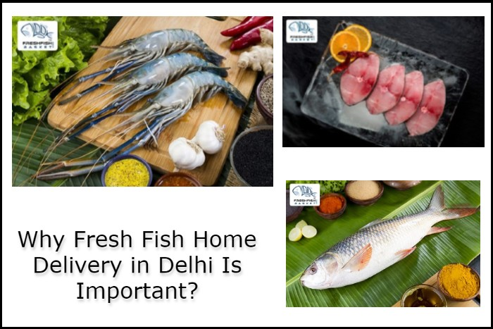 Why Fresh Fish Home Delivery in Delhi Is Important? | by Fresh Fish ...