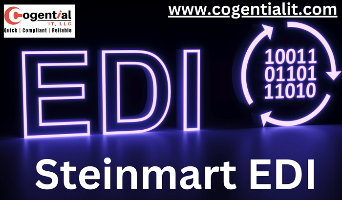 Meijer EDI: Enhancing Efficiency and Collaboration in the Congenital IT Industry | by ...