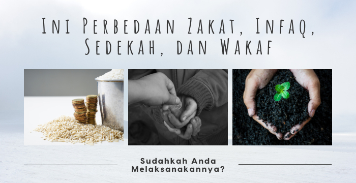 Ini Perbedaan Zakat, Infaq, Sedekah, dan Wakaf | by Istanayatim | Medium