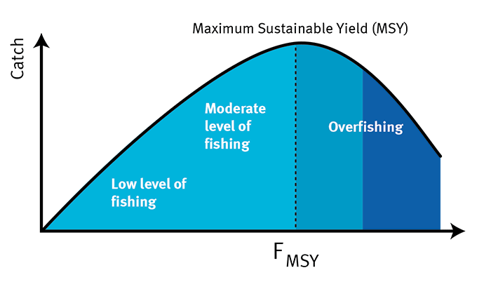 Oceanfoods: What Does Sustainable Fishing Really Mean? | by OceanFood ...