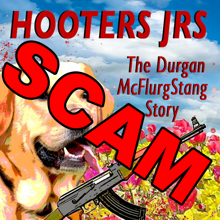 Hooters Jrs: The Bizarre Scam Behind The Durgan McFlurgStang Story | by ...