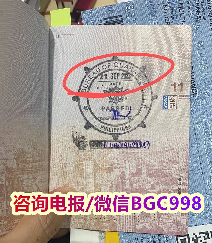 菲律宾LTO 考试怎么考 – 菲律宾华人移民 微信BGC998 电报@WOW888