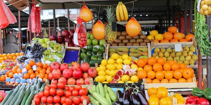 Exploring Niche Markets for Frozen Food Distributors. | by Mani Zaver ...