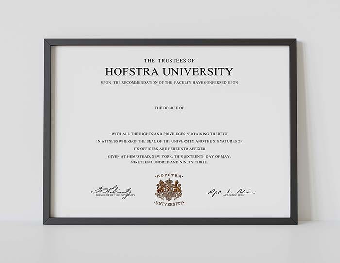 Power of a Hofstra University Degree | by Sterling Phoenix | Medium