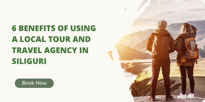 6 Benefits of Using a Local Tour and Travel Agency in Siliguri | by ...