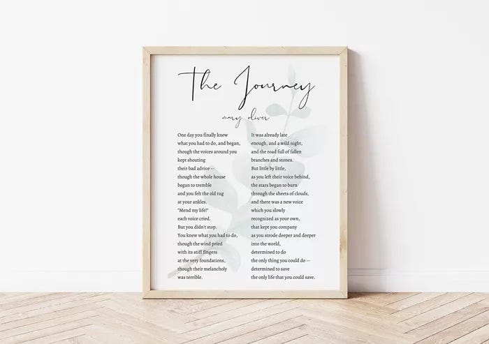 Poem A Day: Mary Oliver Explanation | by Nevermore Poem | Medium