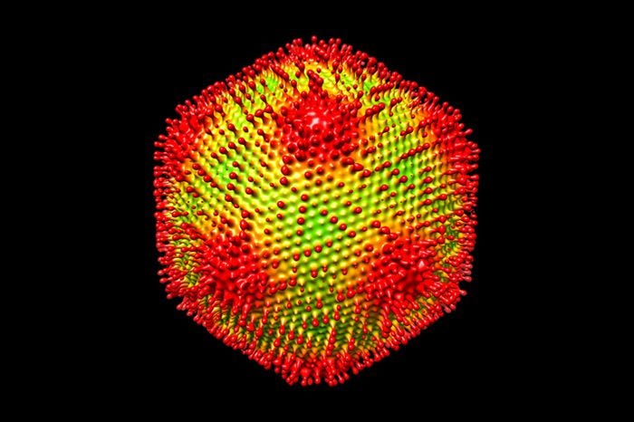 New giant virus may help understand the emergence of complex life | by ...