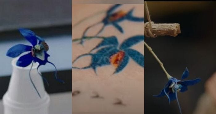The ‘Blue’ Ghost Orchid in Korean Drama | by RIUUSA | Medium