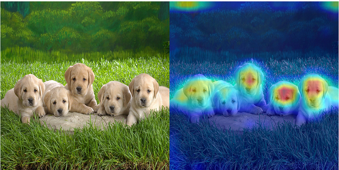 Explainable YOLOv8: Explaining YOLOv8 Results Using Eigen-CAM | by ...