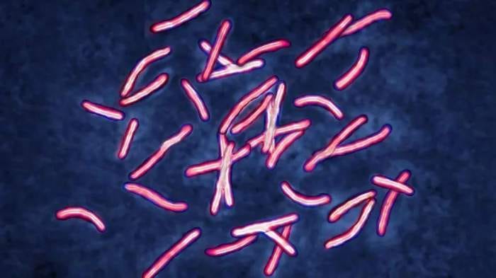 AI Solves Superbug Problem In 2 days That Took Scientists Years… | by ...