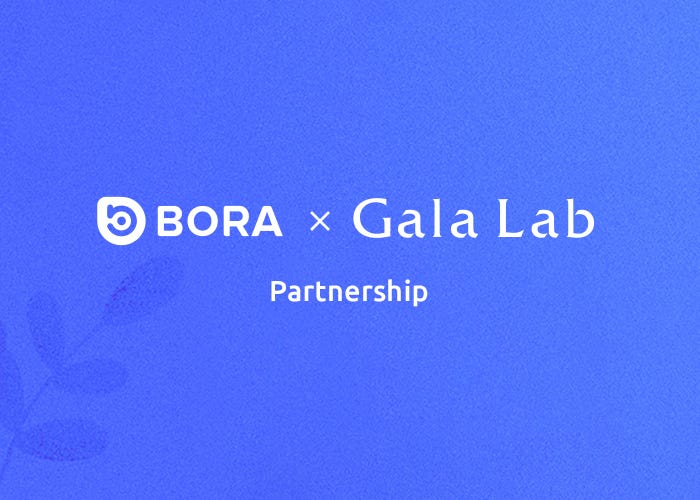 BORA X Gala Lab | by BORA | BORA | Medium