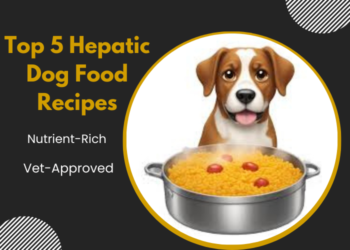 Top 5 Hepatic Dog Food Recipes: Nutrient-Rich, Vet-Approved | by ...